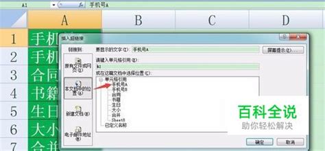 Excel点击单元格跳到指定工作表sheet 【百科全说】