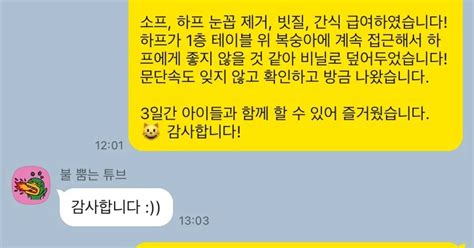 고양이 펫시팅 후 고객님들의 후기입니다 손예서 숨고 숨은고수