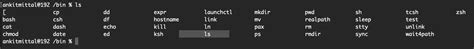 What Is Path Environment Variable Upskilling Engineers