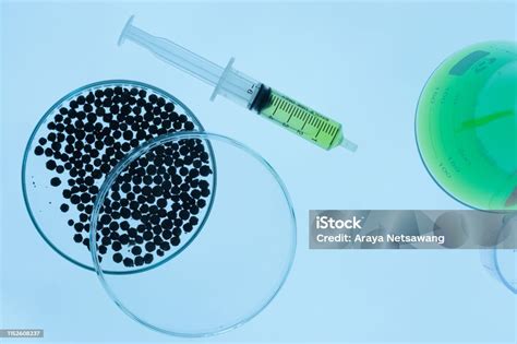 삼각 플라스 크 내에 함유 된 화학 물질을 포함 하는 주사기 화학 및 페 트리 디쉬는 약간의 검은 후추 곡물을 갖는다 흰색