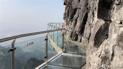 張家界4人集體跳崖！「死前服50克毒藥」3克就致命：世界再見