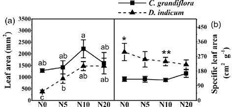 Reaction Norm Of Leaf Morphological Traits Of Coreopsis Grandiflora And