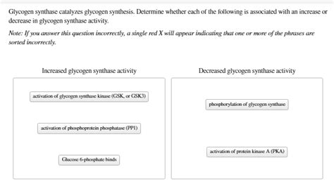 Solved Glycogen Synthase Catalyzes Glycogen Synthesis