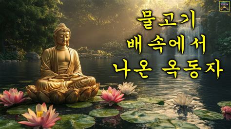 명상의말씀 🌕 물고기 배속에서 나온 옥동자 미녀 마등가와 아란존자 반야품의문품 법구경 중에서 🌾 엄주환 낭송 Youtube