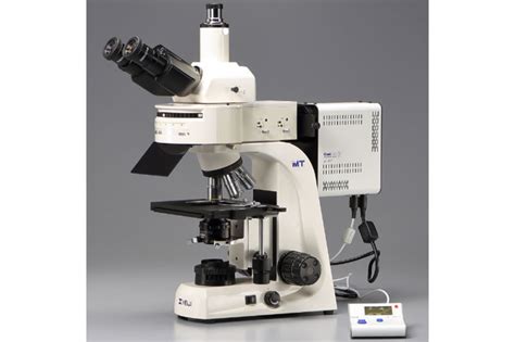 Light Source Microscope