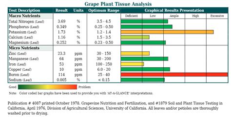 Boron Toxicity Solutions Rviticulture