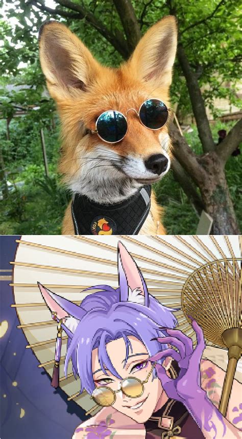 A Rare Picture Of Kuya In His Fox Form R Nucarnival