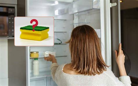 Una spugna in frigorifero non è un fatto così insolito Con questo