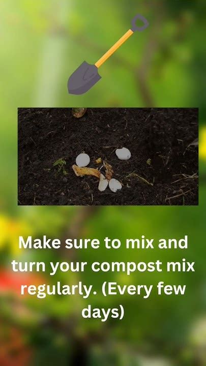 Compost 101 Turn Your Waste Into Garden Gold Shorts Youtube