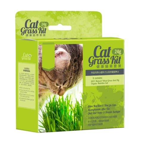 Cat Grass Plant Herb Edible Lemongrass Organic Cats Grass Kit Forest