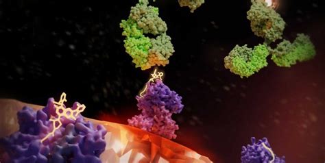 Previously Failed Cancer Drug Repurposed To Act As Flag For Cancer