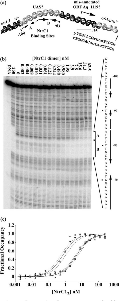 Figure 1 From Negative Regulation Of AAA C ATPase Assembly By Two