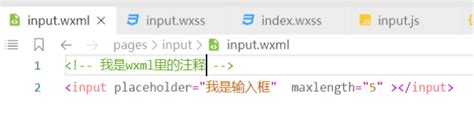 最新最全的微信小程序入门学习教程，微信小程序零基础入门到精通 前端 微信小程序学习 免费 csdn博客
