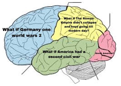 Brain Mapping R Imaginarymapscj