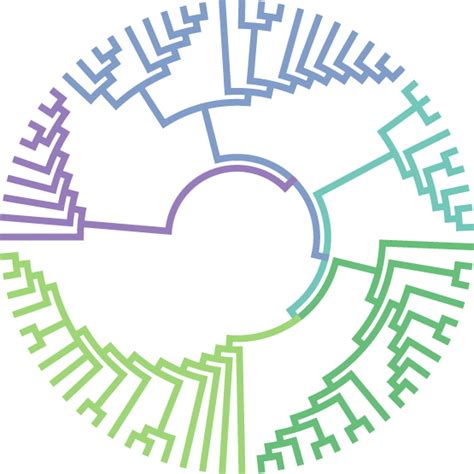Phylogenetic Tree For Molecular Evolution