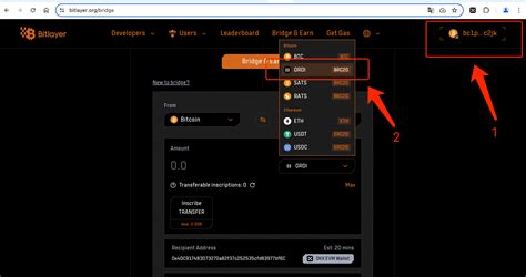 Bitlayer Official Bridge — Brc20 Asset Bridging Tutorial Bitlayer Blog