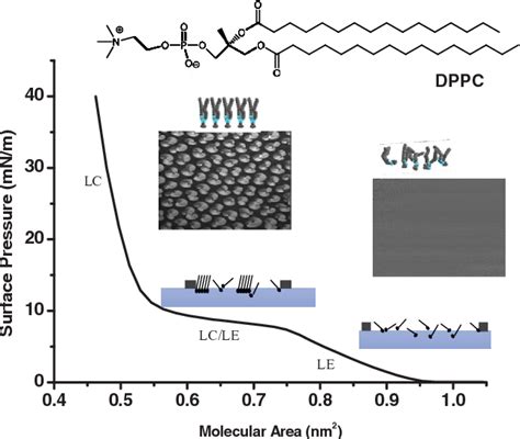 Figure 1 From Structure Formation By Dynamic Self Assembly Semantic Scholar