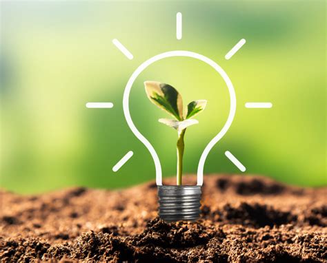 Supporting Sustainable Innovation In Healthcare The Health Innovation
