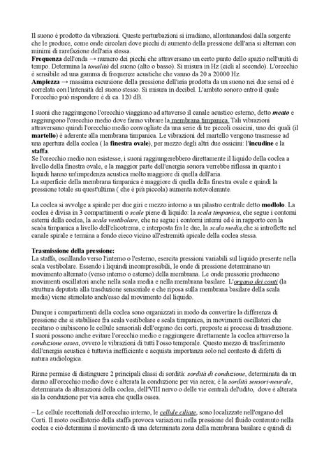Riassunto Fondamenti Docsity