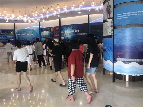 2024三亚海洋探索世界游玩攻略真的是住的最值的酒店，特别【去哪儿攻略】