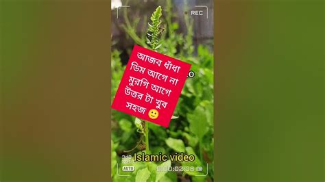 আজব ধাঁধা ডিম আগে না মুরগি আগে উত্তর টা Youtube