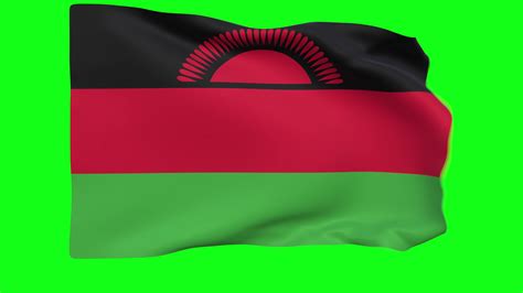 waving flag of malawi animation 3d render method 46030530 stock video