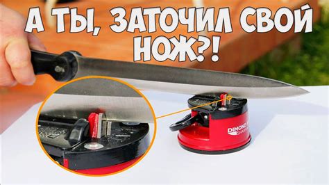 Точилка для ножей на присосках.Алиэкспресс - YouTube