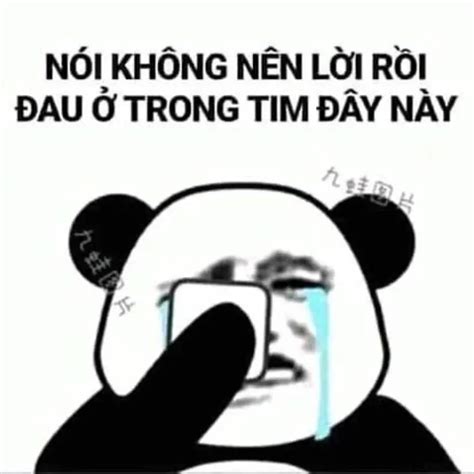Lưu Ngay Về Máy 50 Meme đau Tim Hài Hước Thú Vị Nhất