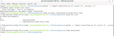 Install Tensorflow Or PyTorch MONAI Dev With Conda Thomas Grenier