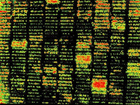 Satellite Imagery Versus Uav Imagery Avada Landing Product