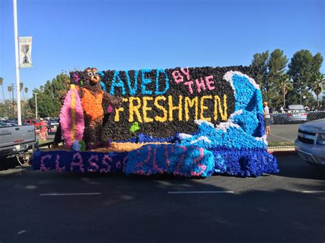 Which Class Will Float And Which Will Sink