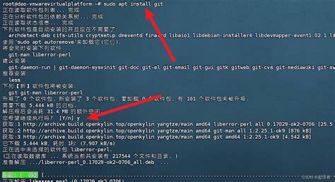麒麟系统—— openkylin 安装 git 源代码管理工具 银河麒麟安装git csdn博客