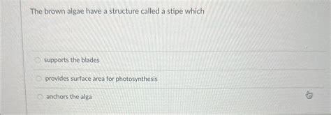 Solved The Brown Algae Have A Structure Called A Stipe