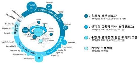 만성피로증후군 환자 뇌 영역별 특성·뇌 염증 병태 규명 파이낸셜뉴스