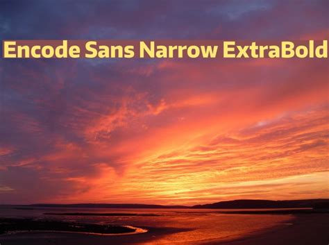 Encode Sans Narrow ExtraBold Font FFonts Net
