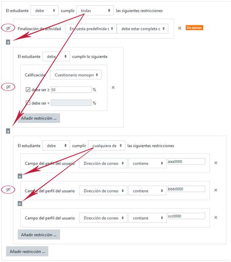 Restricciones de Acceso Centro de Enseñanza Virtual de la Universidad de Burgos