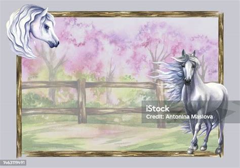 말과 봄 풍경이 있는 나무 프레임 수채화 그림 엽서 디자인 프레젠테이션의 배경 말에 대한 스톡 벡터 아트 및 기타 이미지 말 프레임 거친 Istock