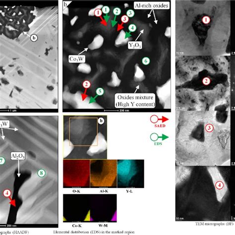 Microstructural Analysis Of The Oxides Formed In Internal Oxidation