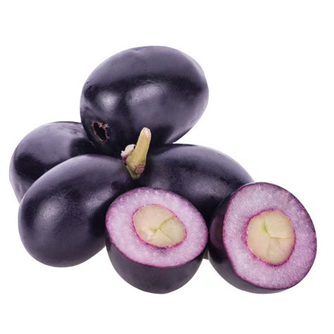 Java Plum Cultivation Java Plum Crop Management Agrownet