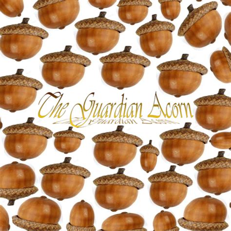 Site Progress Update July 2017 Guardian Acorn
