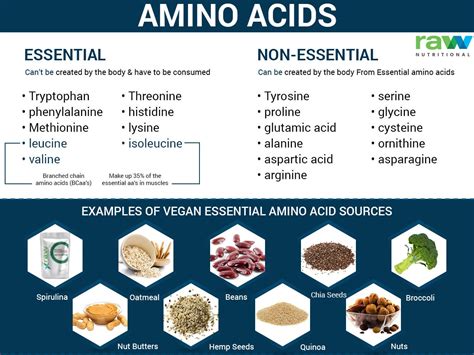 Amino Acids In Vegetables Chart Pe