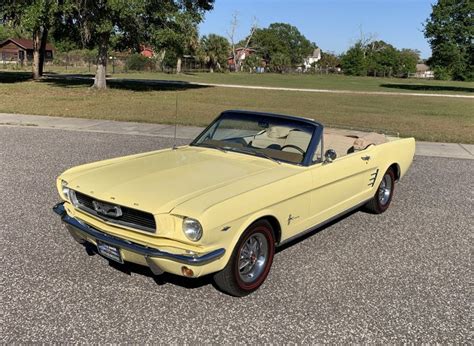 1966 Ford Mustang Pjs Auto World Classic Cars For Sale