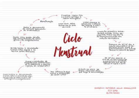 Ciclo Menstrual Mapa Mental Revoeduca