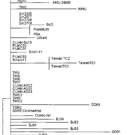 Phylogenetic Trees Of The Full Length Nucleotide Sequences Of The