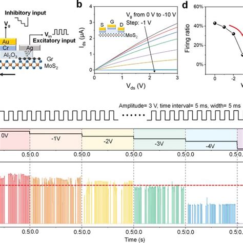 Illustration Of Neuronal Oscillations Device Architecture And
