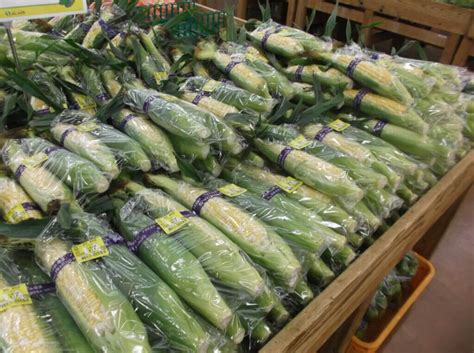 「とうもろこし」入荷しました！ あぐれっしゅ日高中央 Jaいるま野
