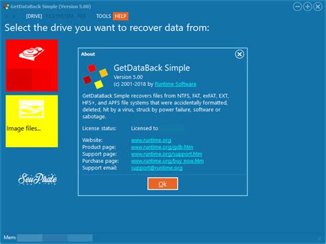 Download Runtime GetDataBack Simple V5 Final SeuPirate Torrent 1337x