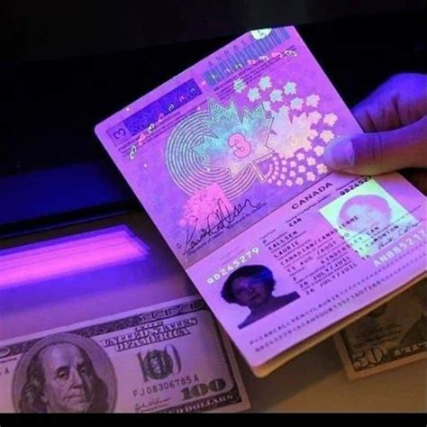 Passport Assistance Service At ₹ 9000day In Pardi Id 2853869960388