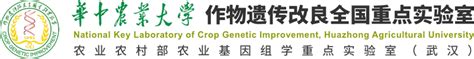 “基因组研究与水稻遗传改良”团队 作物遗传改良全国重点实验室