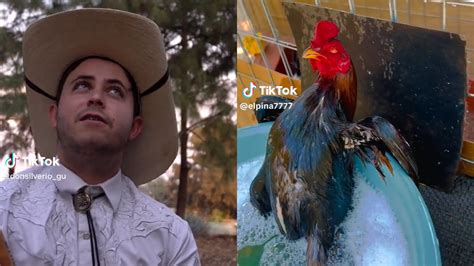 El origen de Qué agusticidad audio viral que causó sensación en TikTok Infobae